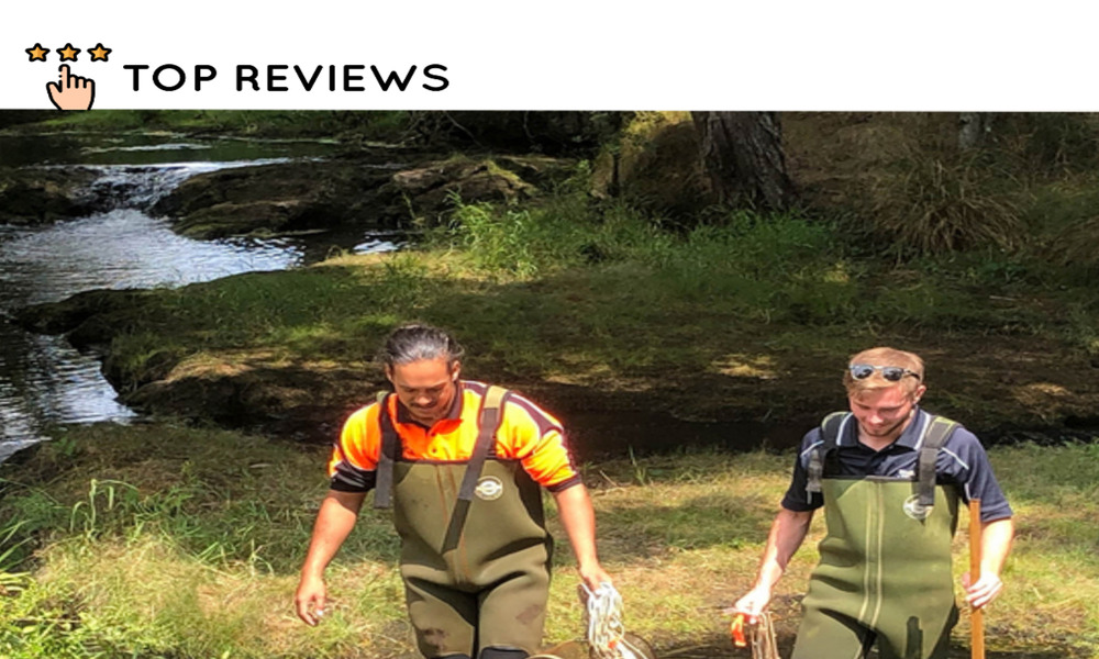 A Deep Dive into New Zealand’s Most Polluted River [2026]